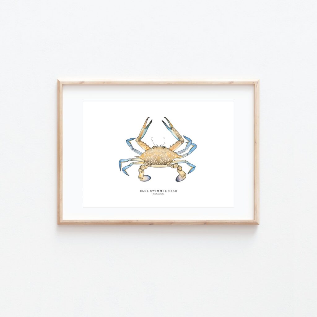 Blue Swimmer Crab, Ocean Watercolour, BRD Prints